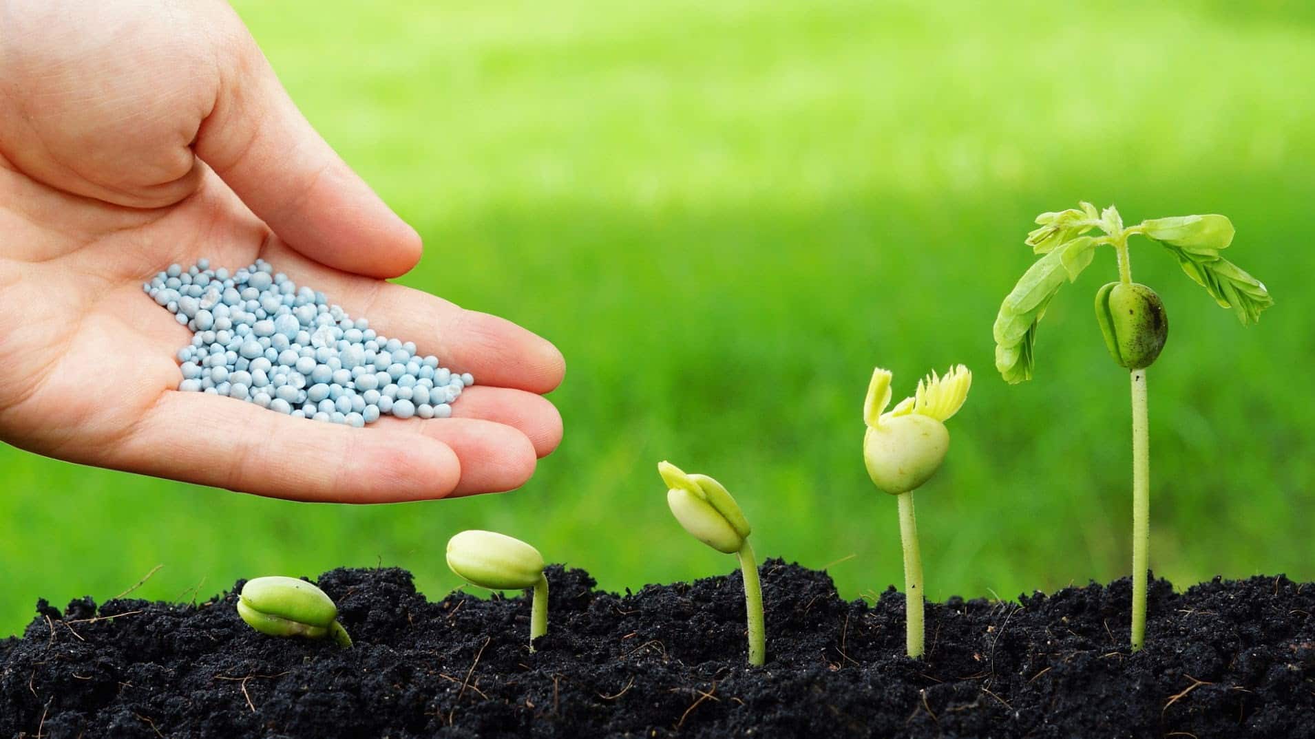 Urea compost - PhotoNews Pakistan