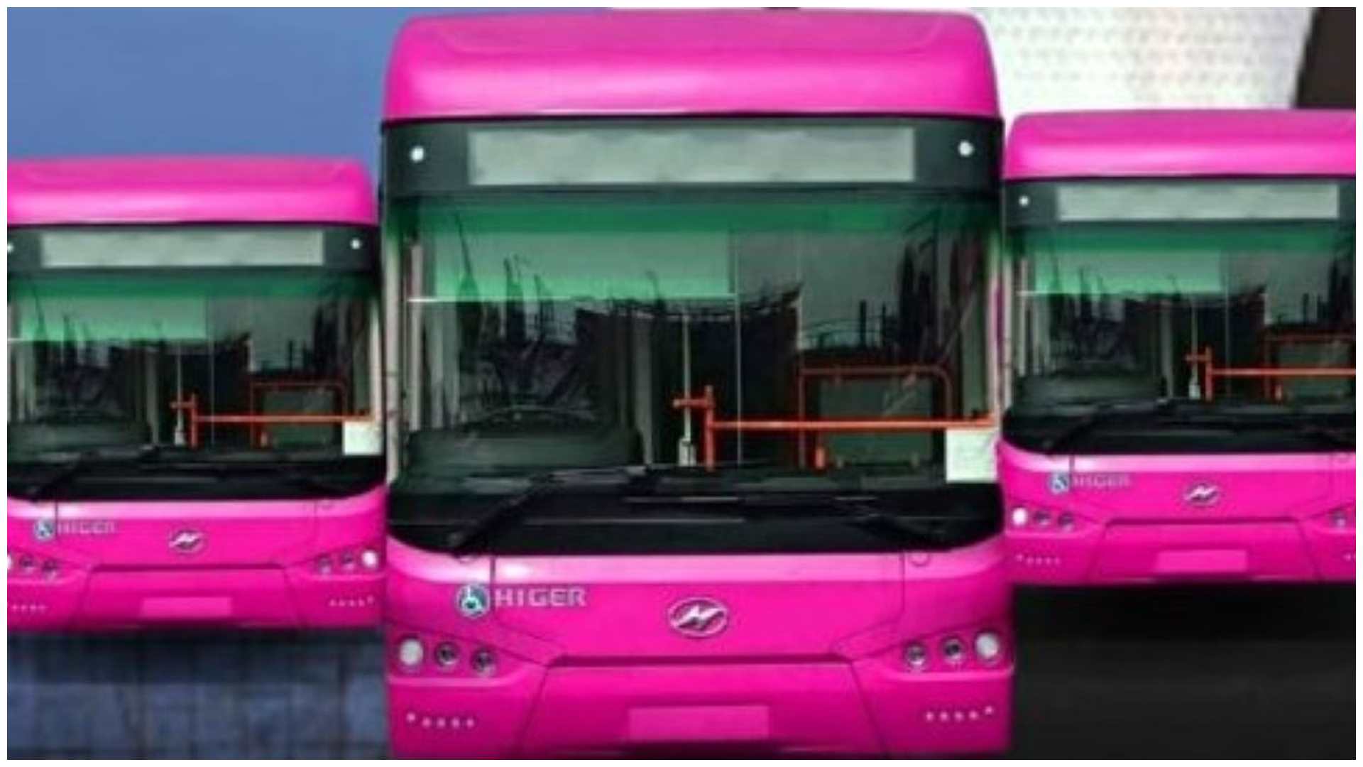 School Buses in Islamabad Reassigned for Prime Minister's Pink Bus Service