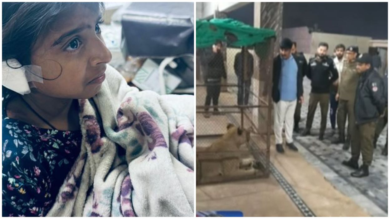 Lion Attack Lahore - PhotoNews Pakistan