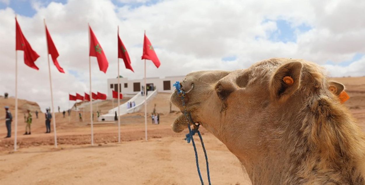 Western Sahara Tourism Expands Amid Morocco Dispute